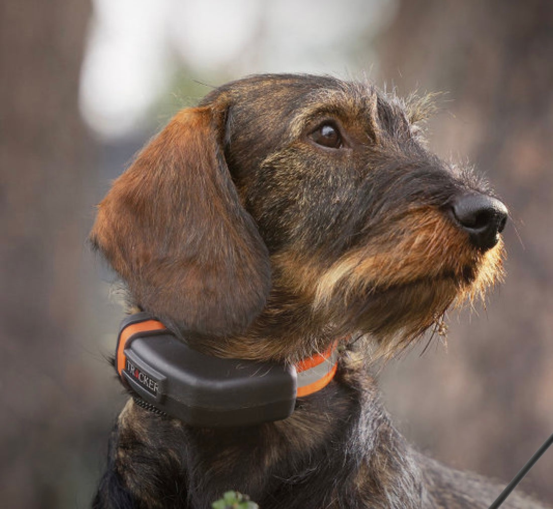 Tracker Luna – Svenska pejl